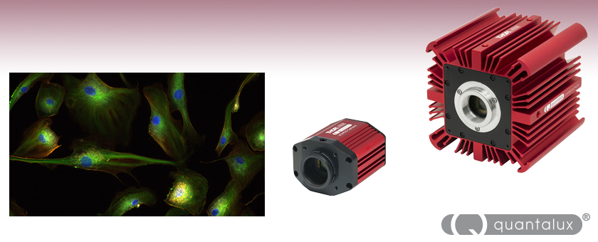 2.1 MP sCMOS Scientific Cameras