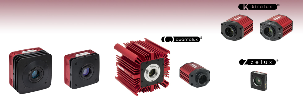 Scientific Camera Selection Guide