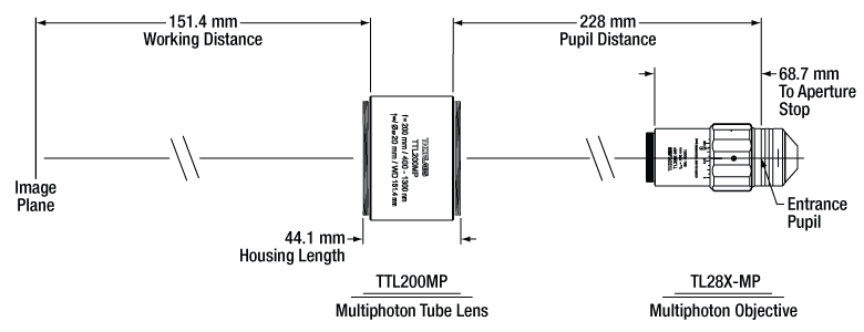 Thorlabs Microscope Objectives for Life Sciences