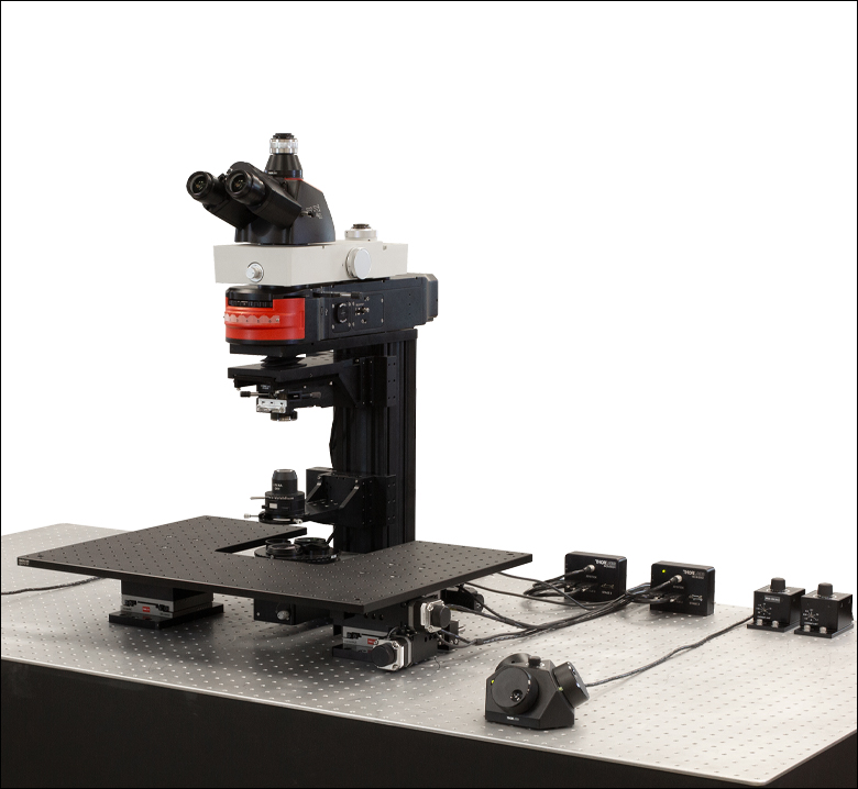 Microscope Bodies for DIY Cerna® Systems