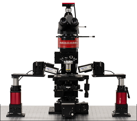 Cerna® Series: Modular Microscopy Systems and Components