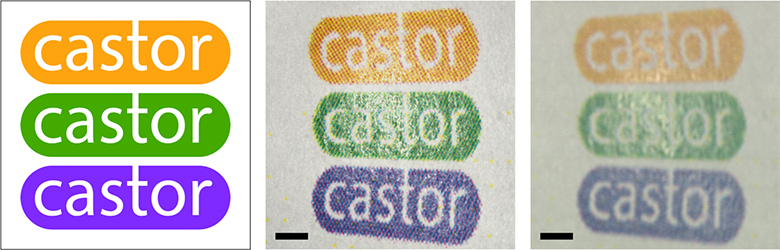 2x1 Double-Clad Fiber Couplers