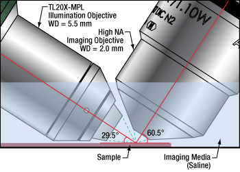Microscope Objectives, Water Dipping or Immersion